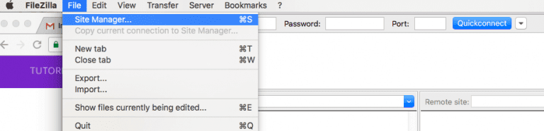 Apa Itu Filezilla? Cara Kerja, Fungsi, & Cara Menggunakannya