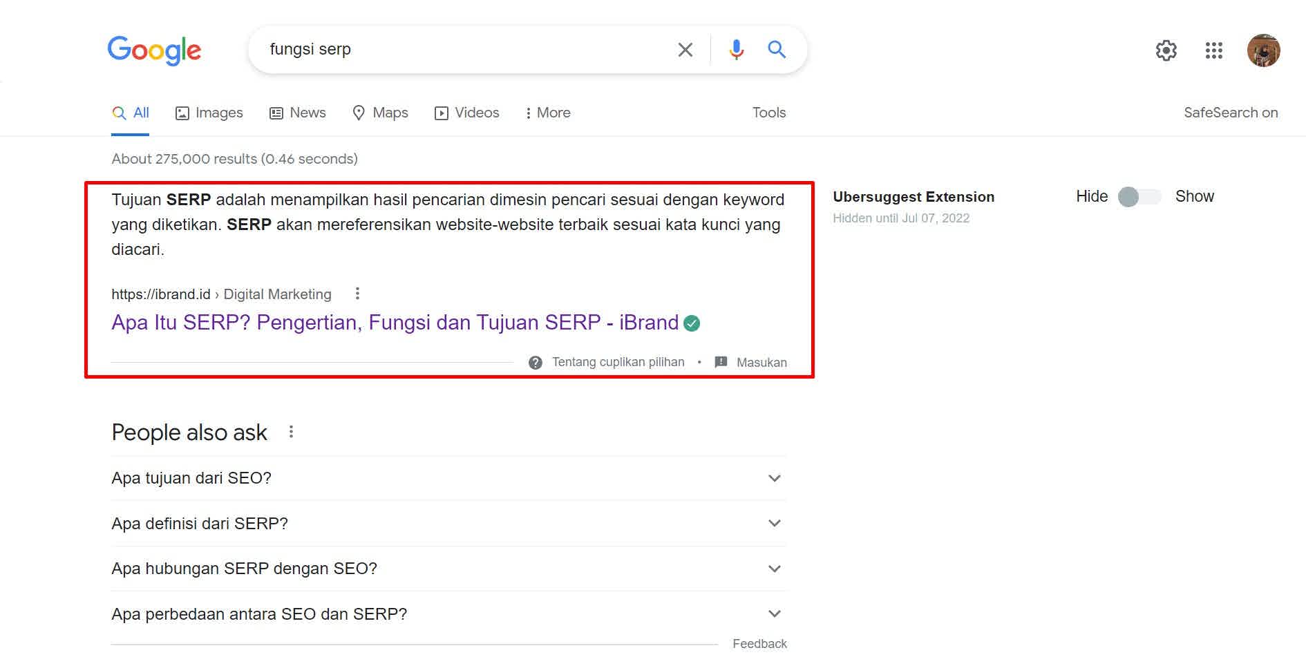 Mengenal Apa itu SERP, Fitur, dan Kaitannya dengan SEO – Dewaweb Blog