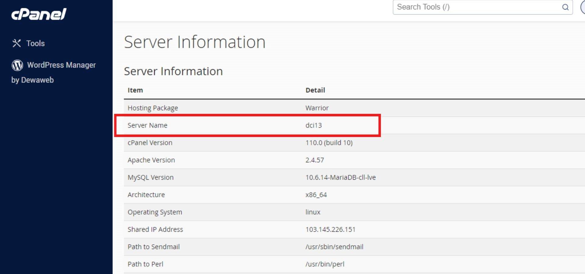 Pentingnya Cek Name Server Domain, Ini 5+ Cara Ceknya – Dewaweb Blog