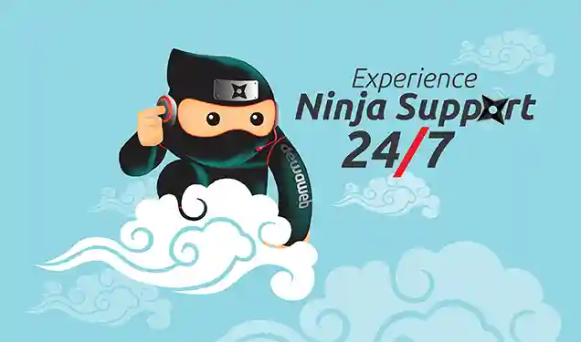 Mengenal Apa Itu Ninja Support 24/7 Dewaweb